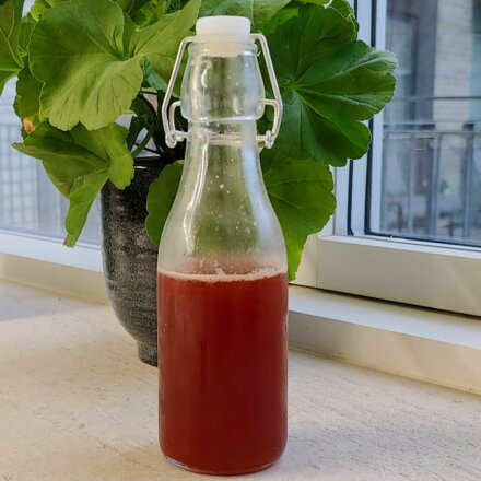 Gold Rush - Sydhavnsbloggen